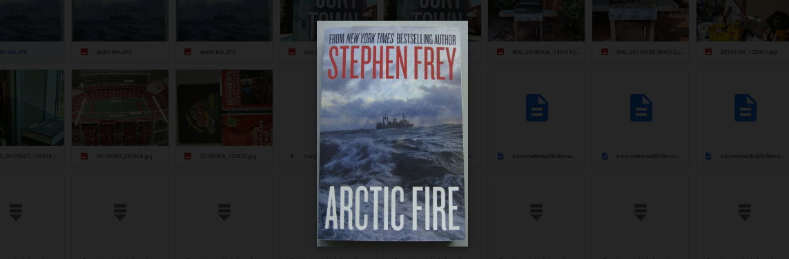 Book Review: “Arctic Fire” by Stephen Frey – TracyReaderDad: Book Reviews