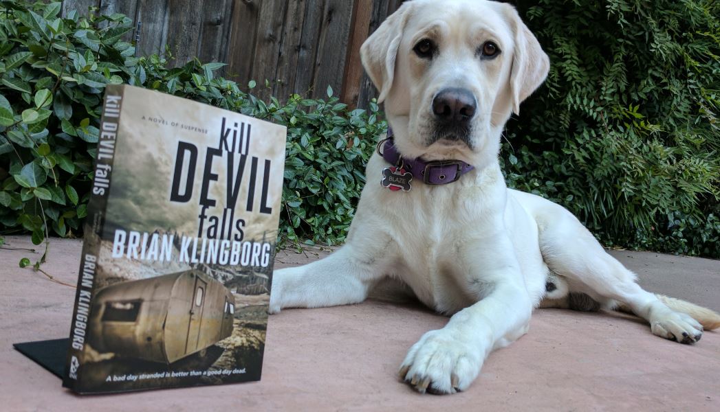 Book Review: “Kill Devil Falls” by Brian Klingborg – TracyReaderDad ...
