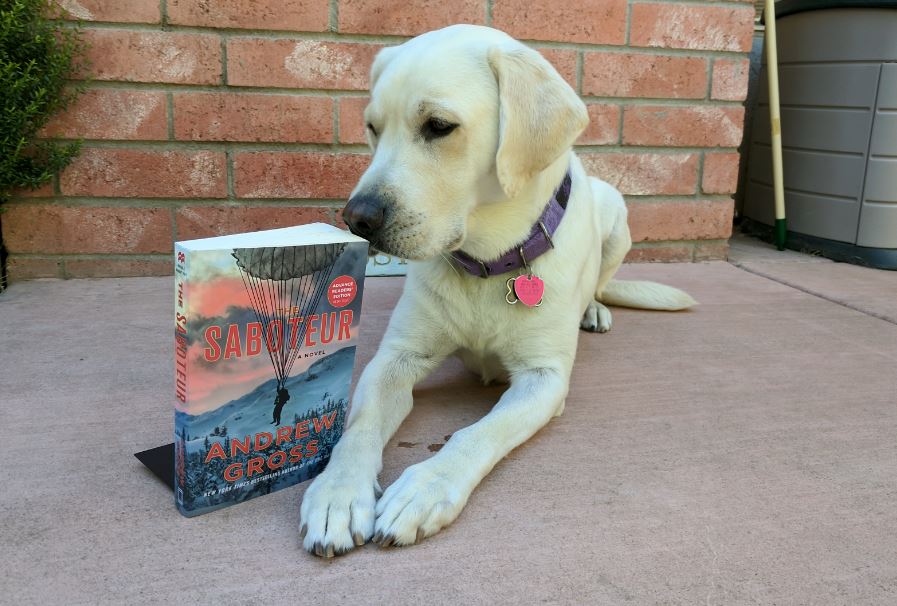 Book Review: “The Saboteur” by Andrew Gross – TracyReaderDad: Book Reviews