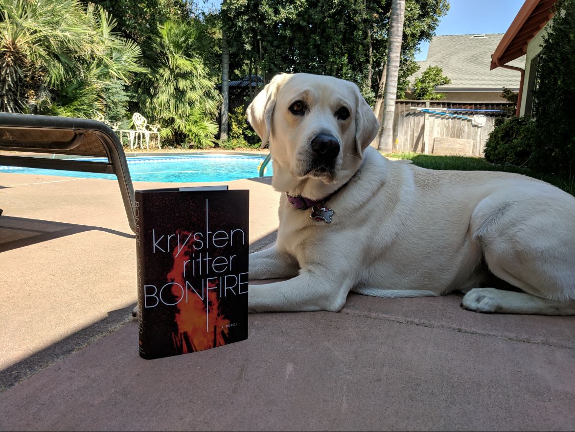 Book Review: “Bonfire” by Krysten Ritter – TracyReaderDad: Book Reviews