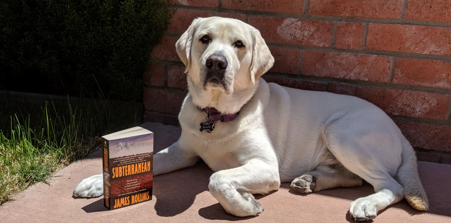 Book Review: “Subterranean” by James Rollins – TracyReaderDad: Book Reviews
