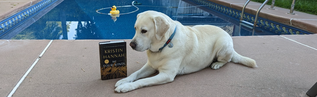 Book Review: “The Four Winds” by Kristin Hannah – TracyReaderDad: Book ...