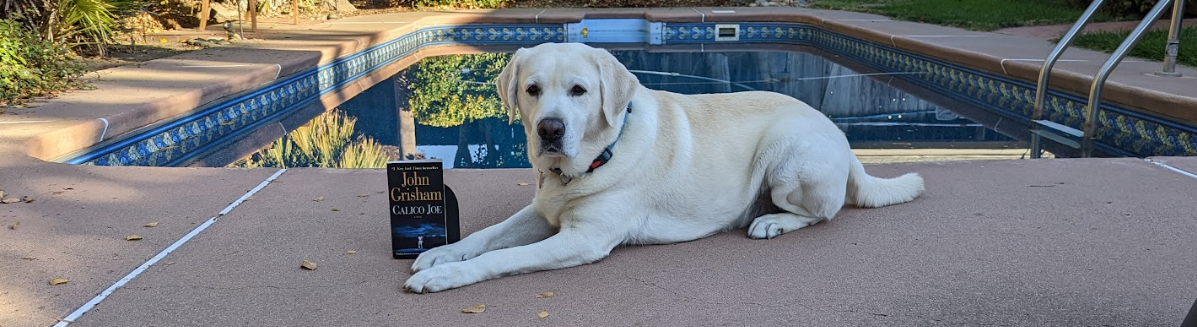 Book Review: “Calico Joe” by John Grisham – TracyReaderDad: Book Reviews