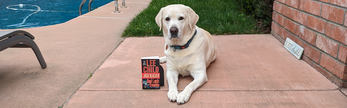 Book Review: “Bad Luck and Trouble” by Lee Child – TracyReaderDad: Book ...