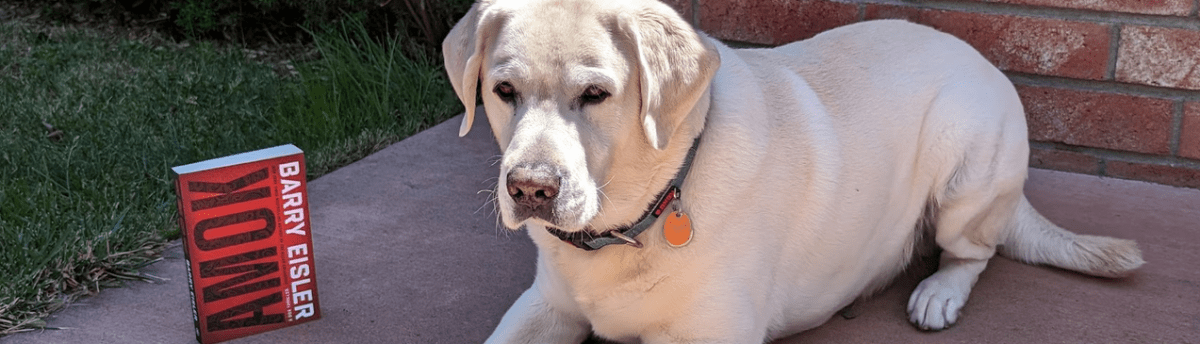 Book Review: “Amok” by Barry Eisler – TracyReaderDad: Book Reviews